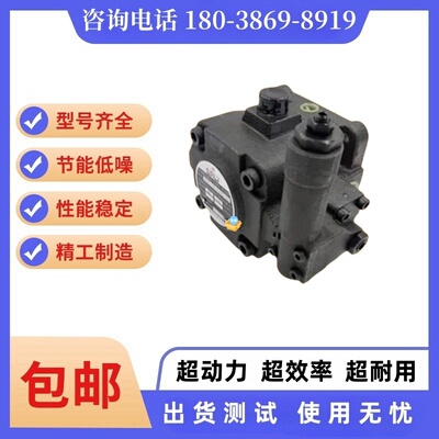 FURNAN 福南 VHP-F-40-A4 A3 VHP-F-30-A4 VHP-F-20-A4 A2 叶片泵