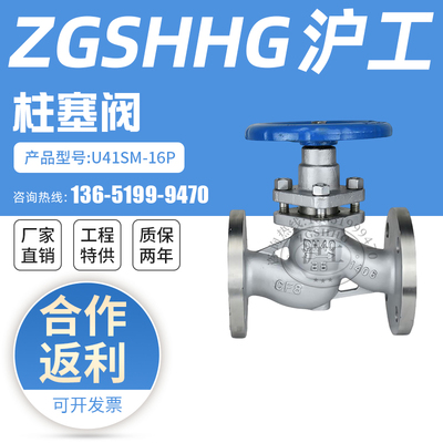 上海沪工良锅炉高温蒸汽