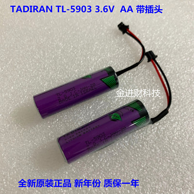 正品塔迪兰锂电池带插头
