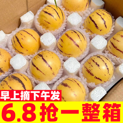 云南石林人参果5斤新鲜水果应当季整箱人心果人生果长生果长寿果