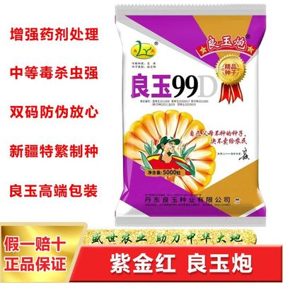 玉米种子矮杆国审抗病抗倒籽深丹东良玉99 良玉炮   良玉99D