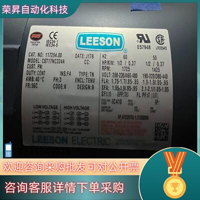Leeson电机C6T17NC324A 8台