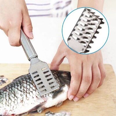 Stainless Steel Fish Scale Remover Cleaner Scaler Descaler
