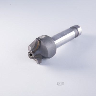 1PC 2/4Flutes R2-R30 Cemented Carbide Corner Rounding End Mi