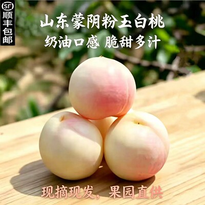 顺丰蒙阴奶油白桃冰激凌白油桃子脆甜见光粉新鲜应季水果现摘现发