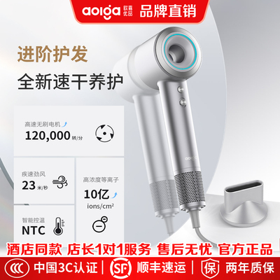 Aolga欧嘉优品大风力高速吹风机等离子高速电吹风筒恒温护发DF31