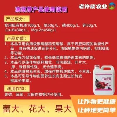 果树保花促进果叶面肥草莓保花芽分化滴翠芽花果蔬菜有机水溶肥
