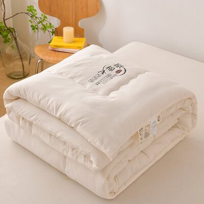 2024新款A类水洗棉原棉大豆被春秋换季租房居家被子 150x200cm3斤