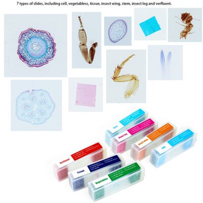 35pcs Prepared Microscope Slides Microscope Specimen Slide B