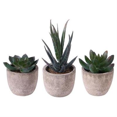 Artificial Succulent Fake Succulents Faux Simulation Potted