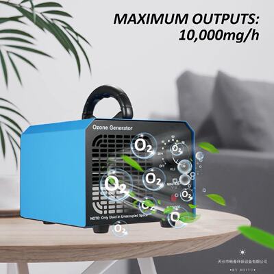 新款38g60g臭氧发生器220V/110V臭氧消毒机厂家批发ozone跨境外贸