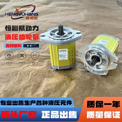 维沃尔VIVOLO齿轮泵XV-1P XV-2P X2P5752ILMA0 X2P5302ACBA液压泵