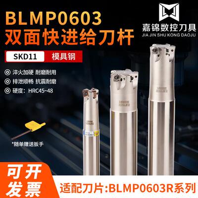 BLMP0603双面快进给刀杆 特固克通装 高精内冷抗震刀杆 可用4角
