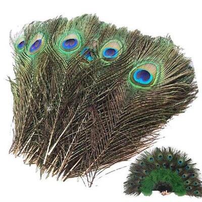 False Peacocks Feather Natural Long Peacocks Feathers 10-12