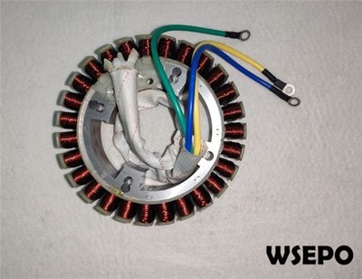 5000 Watt (48V/60V/72V) Customized  Copper Winding Rotor