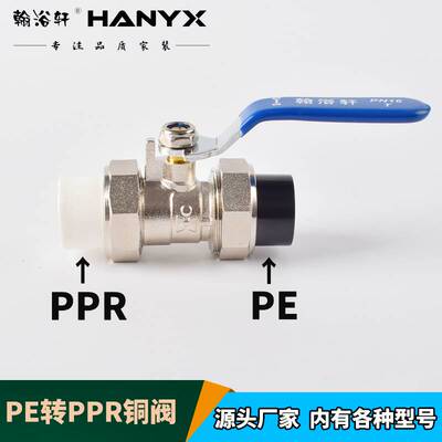 20PPR转PERT/PB/PE转换接头球阀25PErt管阀门32管球阀水管转接头