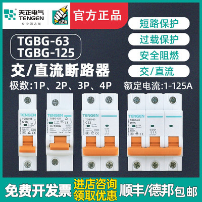 TENGEN天正TGBG直流断路器1P2P直流空气开关32A63A电动电瓶车用DC