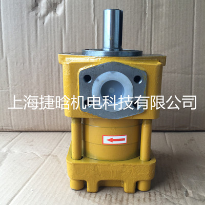液压油泵 NT2-C25F 直线共轭内啮合齿轮泵 INTERNAL GEAR PUMP