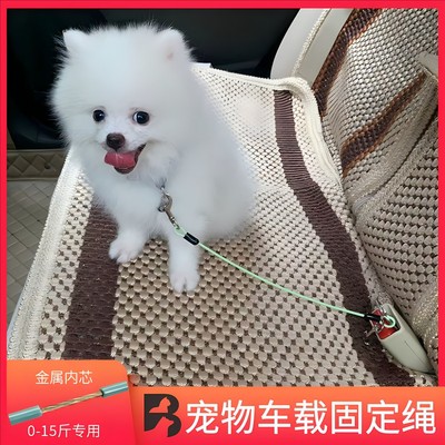 宠物汽车安全带车载牵引绳小型犬幼犬坐车专用神器泰迪博美安全扣
