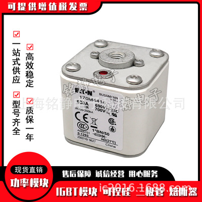 170M4417 170M4418 170M4419巴斯曼保险丝熔断器