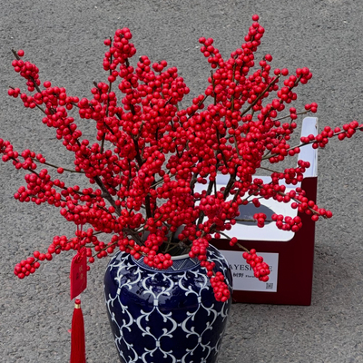 AAA级北美冬青40-50cm喜庆年宵花云南基地直发发财果新年