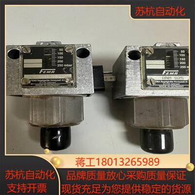 FEMA菲玛压力开关DNM025  004-025bar