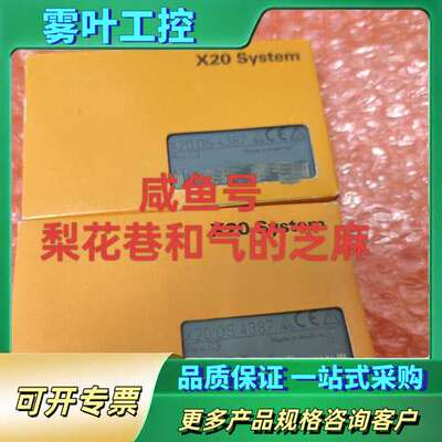 X20DS4387  贝加莱模块正品，欢迎咨询，快递【议价】