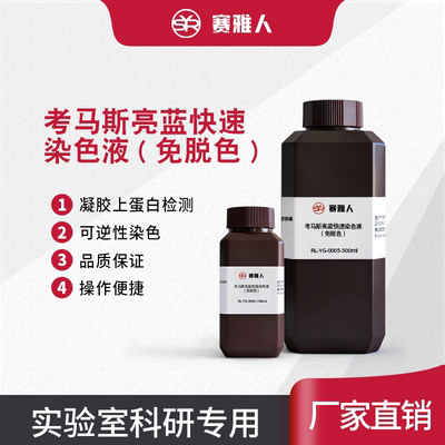 高灵敏考马斯亮蓝 G250染色液 蛋白定量Bradford  SDS-PAGE免脱色