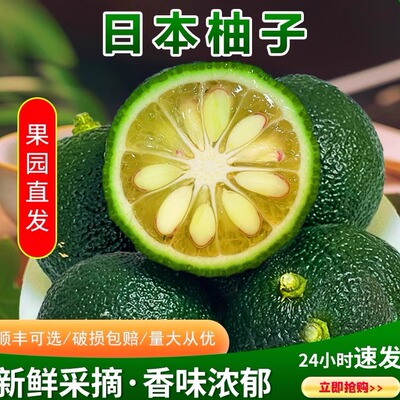日本柚子香柚青果顺丰送货上门
