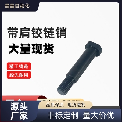 CLBGN/MIE11-D4 D5 D6 D8-L10 12 14 18 20 25 30 50带肩铰链销轴