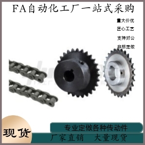 链轮VLN02-100-10 11 -D25 D28 D30 D35 D38 D40 D42 D45 D48 D50