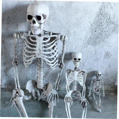 Halloween decorations Skull skeleton property horror万圣骷髅
