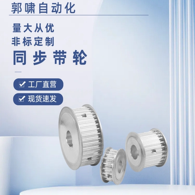 同步轮TTPA25T5200-A-P5P6P7P8P10P12P12.7P14P15P16P17P18P19P20