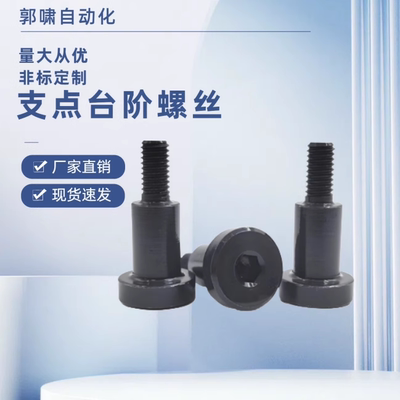 CBDBR FCBDBR4 5 6 8-1 2 3 4 5 6 7 8 10 12 内六角支点台阶螺丝