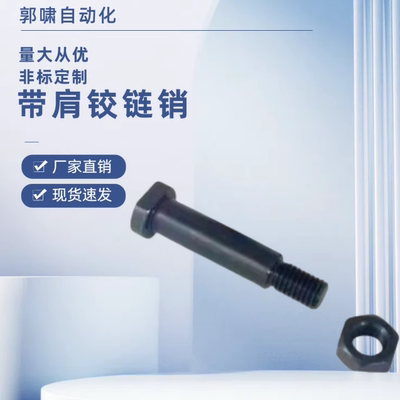 CLBGN/MIE11-D4 D5 D6 D8-L10 12 14 18 20 25 30 50带肩铰链销轴