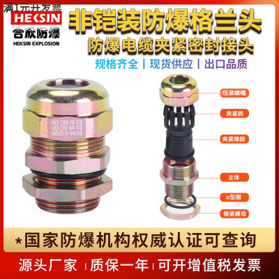 合欣IIC防爆电缆夹紧密封接头BDM