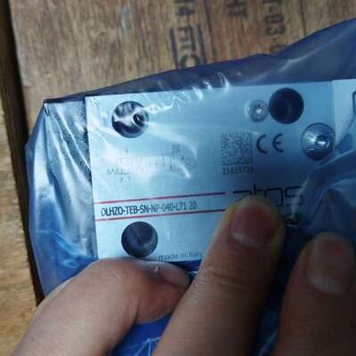 议价意大利阿托斯供应DLHZO-TEB-SN-NP-040-