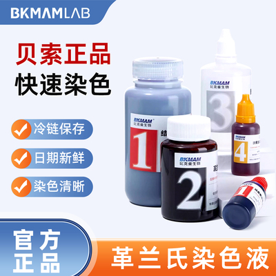 比克曼生物革兰氏染色液试剂盒碘液沙皇脱色液显微镜清晰快速染色