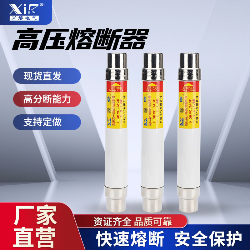 高压限流熔断器户内10KV成套箱变SFLDJ高分段保险管丝XRNT-12/31.