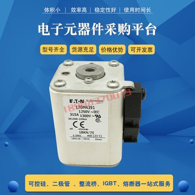 全新快速熔断器保险丝170M4363 170M4364 170M4365 170M4366