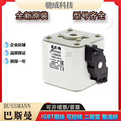 巴斯曼170M6349 170M3438 170M3439  低压保险丝诚信经营货源充足