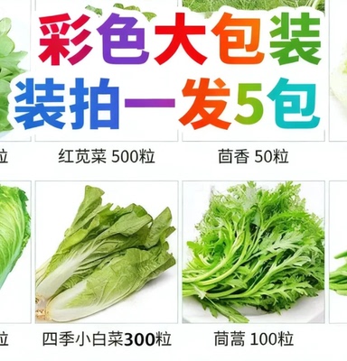 5包 蔬菜瓜果种子土壤种青菜生菜豆角玉西瓜茄子西红米柿辣椒种籽