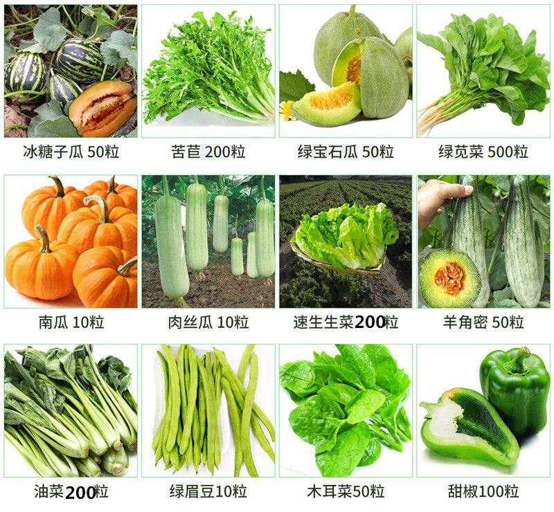 蔬菜种子豆角辣椒生菜葫芦黄瓜玉米白菜苗瓜果四季阳台无机肥种菜