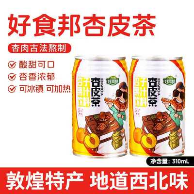 新疆包邮亚盛好食邦杏皮茶西北杏子风味果汁饮料酸甜罐装甘肃特产
