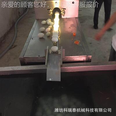 保洁蛋续生线 鸡蛋产鸭蛋自动IFB连清机 蛋品设备洗源头厂家
