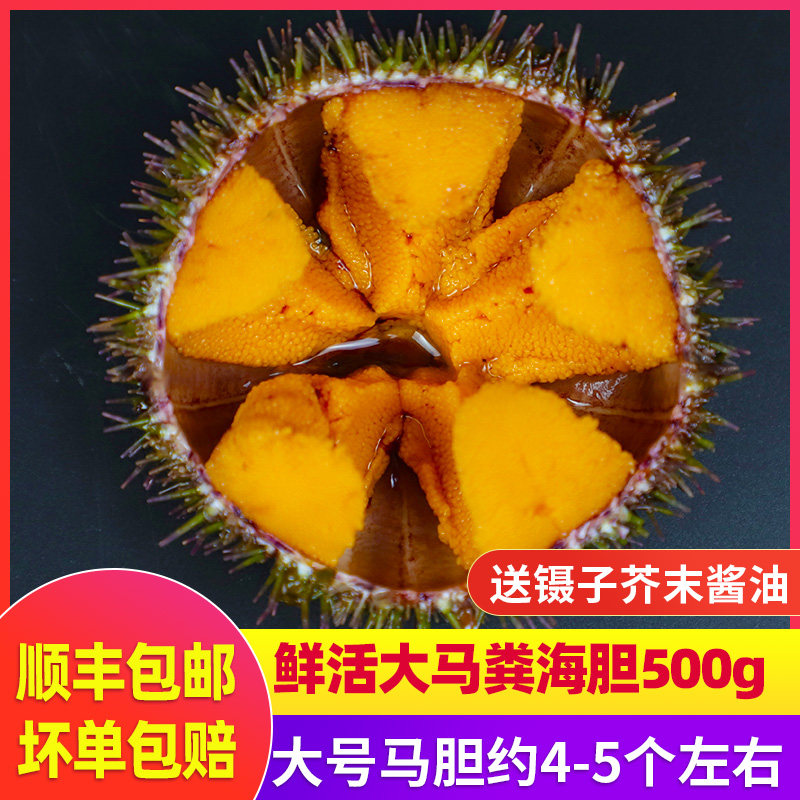 大连马粪海胆小平岛鲜活500g4-5个即食食材料海胆刺身新鲜海鲜