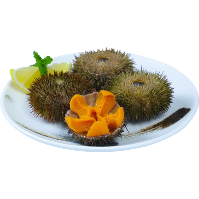 黄海胆大连鲜活刺身日料