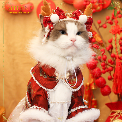 BITEONE【鎏金云璃】 国风公主裙猫咪狗狗衣服新年喜庆新款限定款