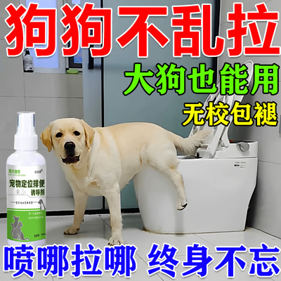 狗狗定点排便神器宠物不乱拉屎上厕所诱导剂引大小便尿垫定点训练