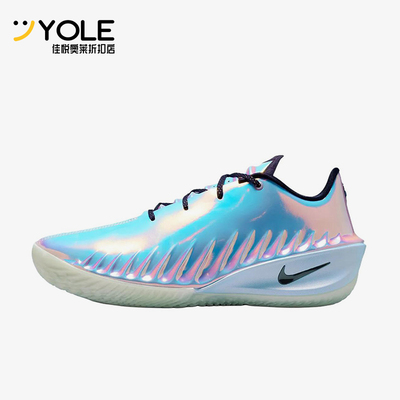 Nike/耐克正品男女同款舒适支撑运动休闲篮球鞋IB6729-910
